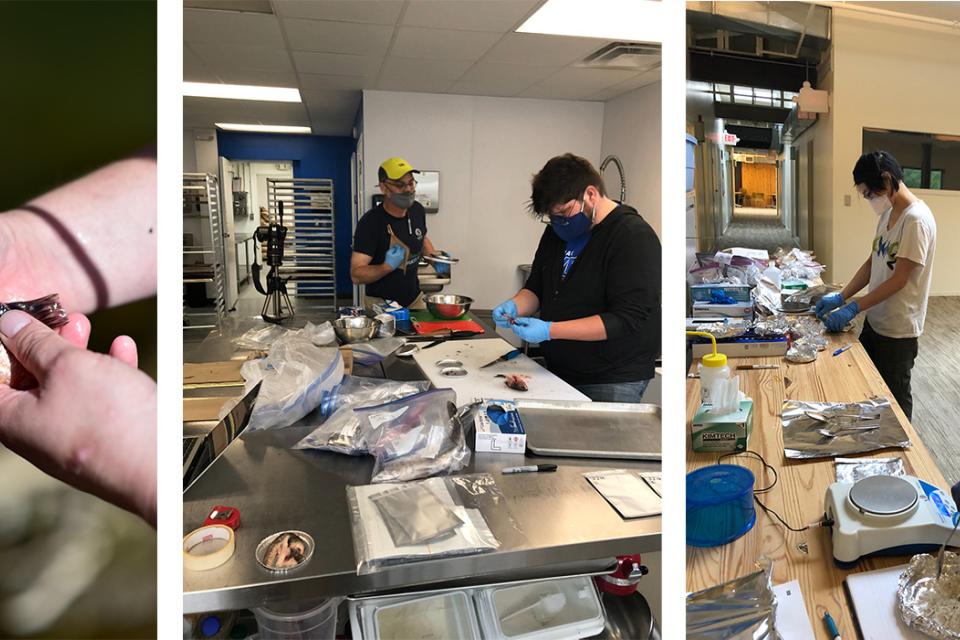 Fish Testing Results | Ecology Center